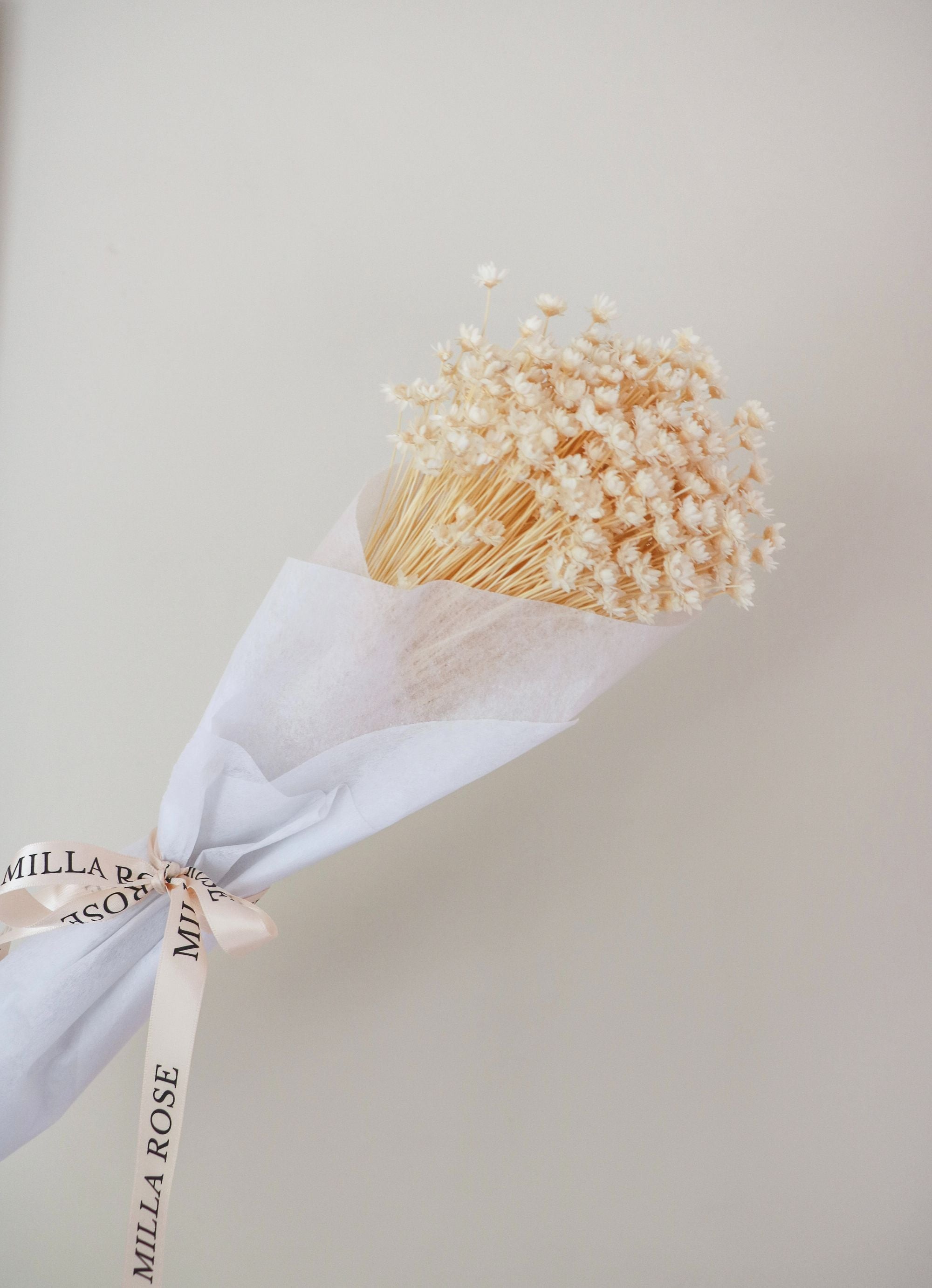 Dried Star Flower Bunch – Milla Rose